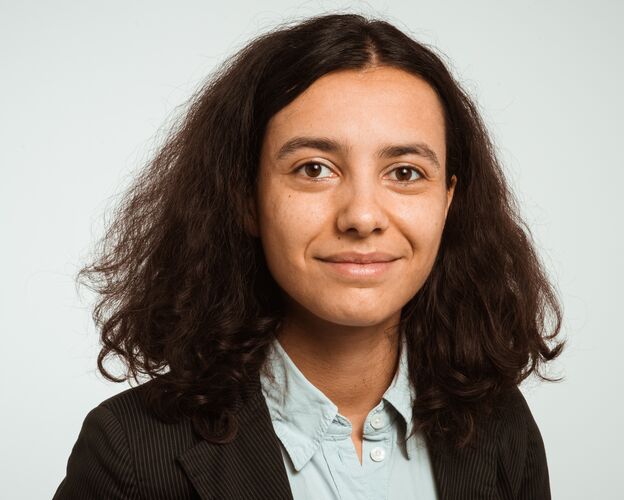 使用mxam进行autosar模型的静态分析：embedded Coder与targetlink模型 Mes